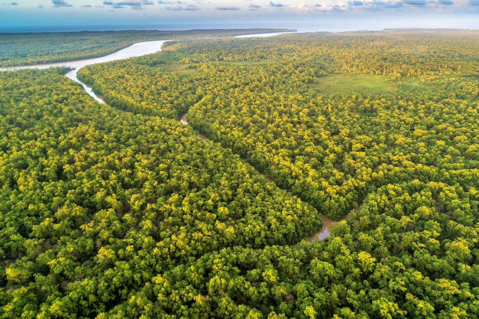 Amazonas, factor clave para enfrentar crisis climática y mantener ciclo ...